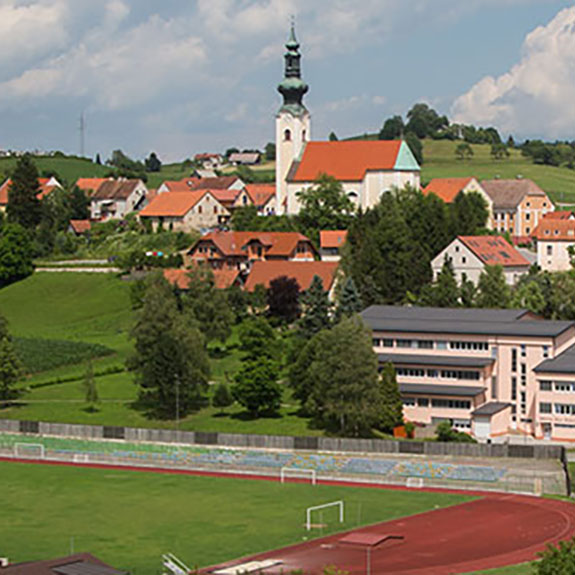 Savinjska regija